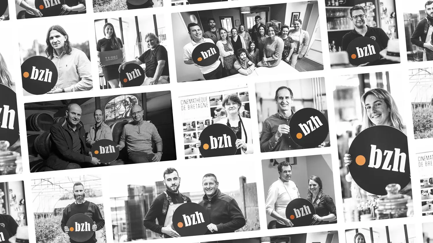 Promo - Le .bzh est à 20 € ! - .BZH - L'extension internet de la Bretagne